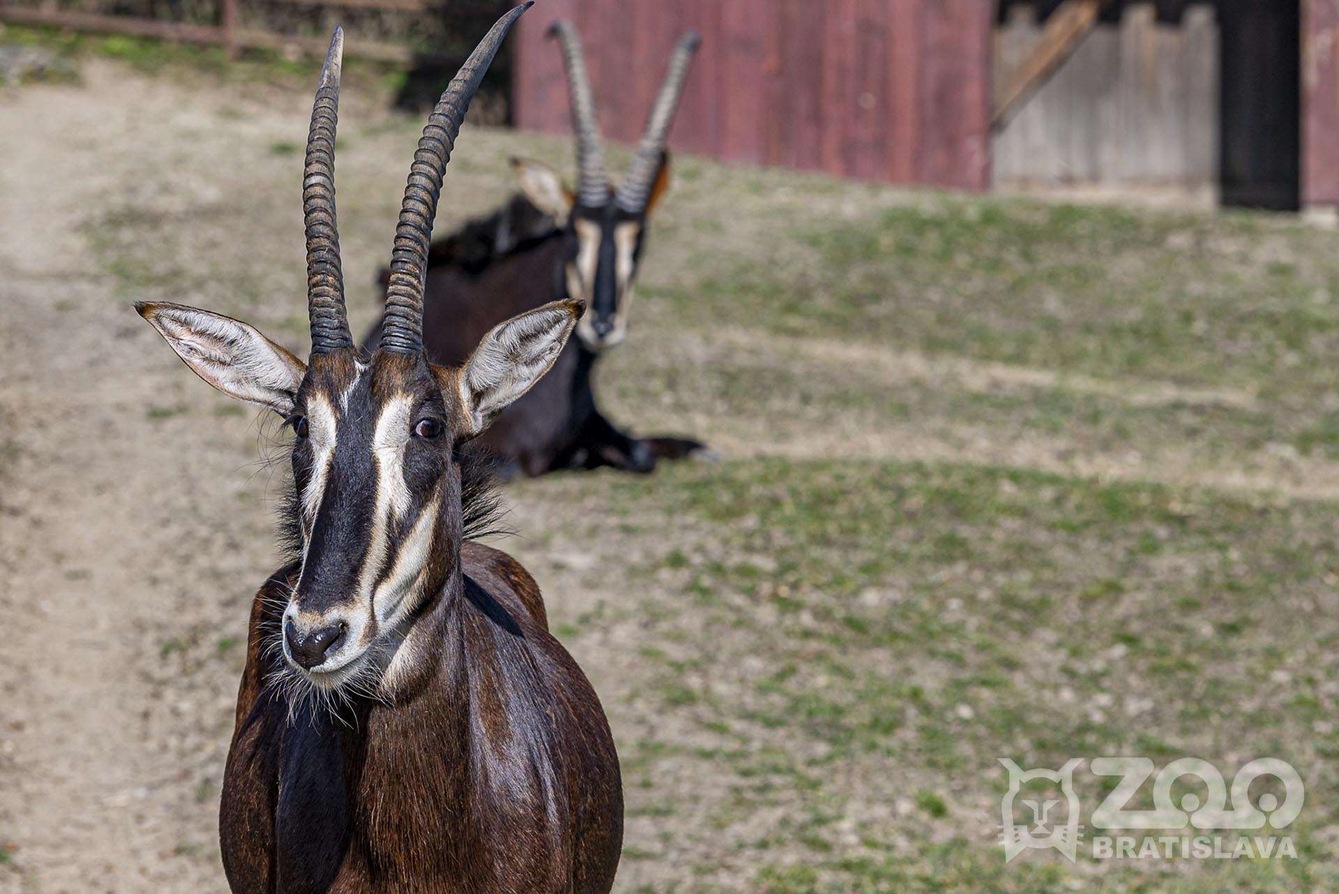ZOO Map | ZOO Bratislava