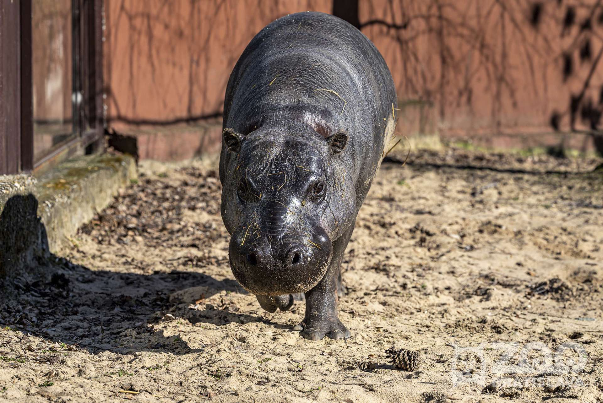 ZOO Map | ZOO Bratislava