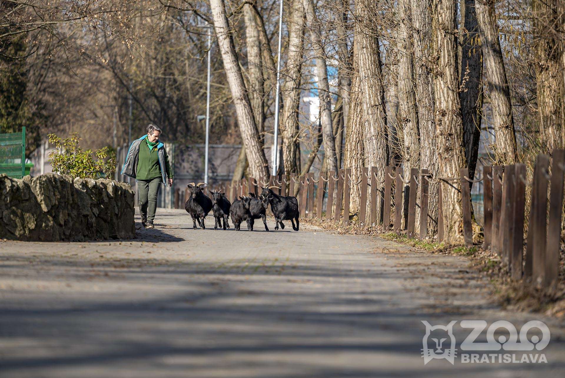 Základné informácie o ZOO | ZOO Bratislava