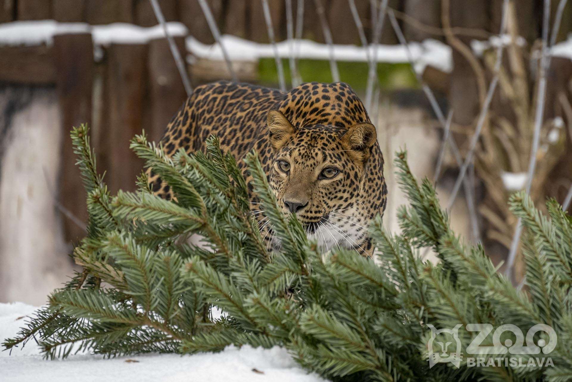 Základné informácie o ZOO | ZOO Bratislava