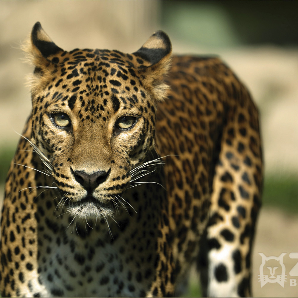 ZOO Bratislava | ZOO Bratislava