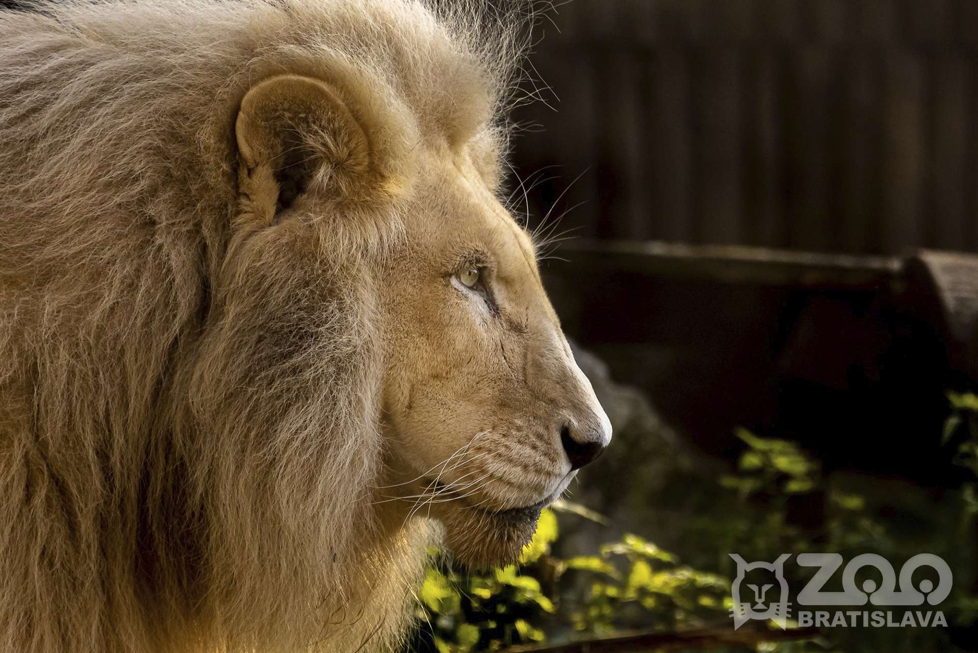 Základné informácie o ZOO | ZOO Bratislava