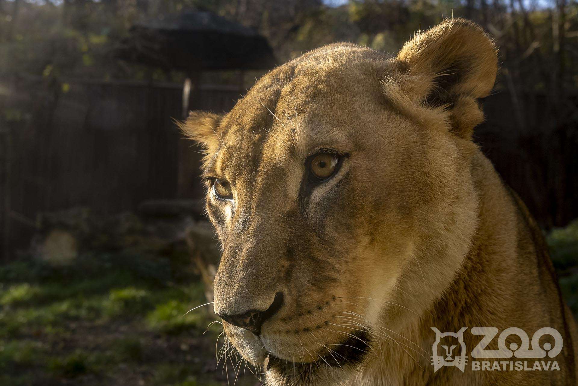 ZOO Bratislava | ZOO Bratislava