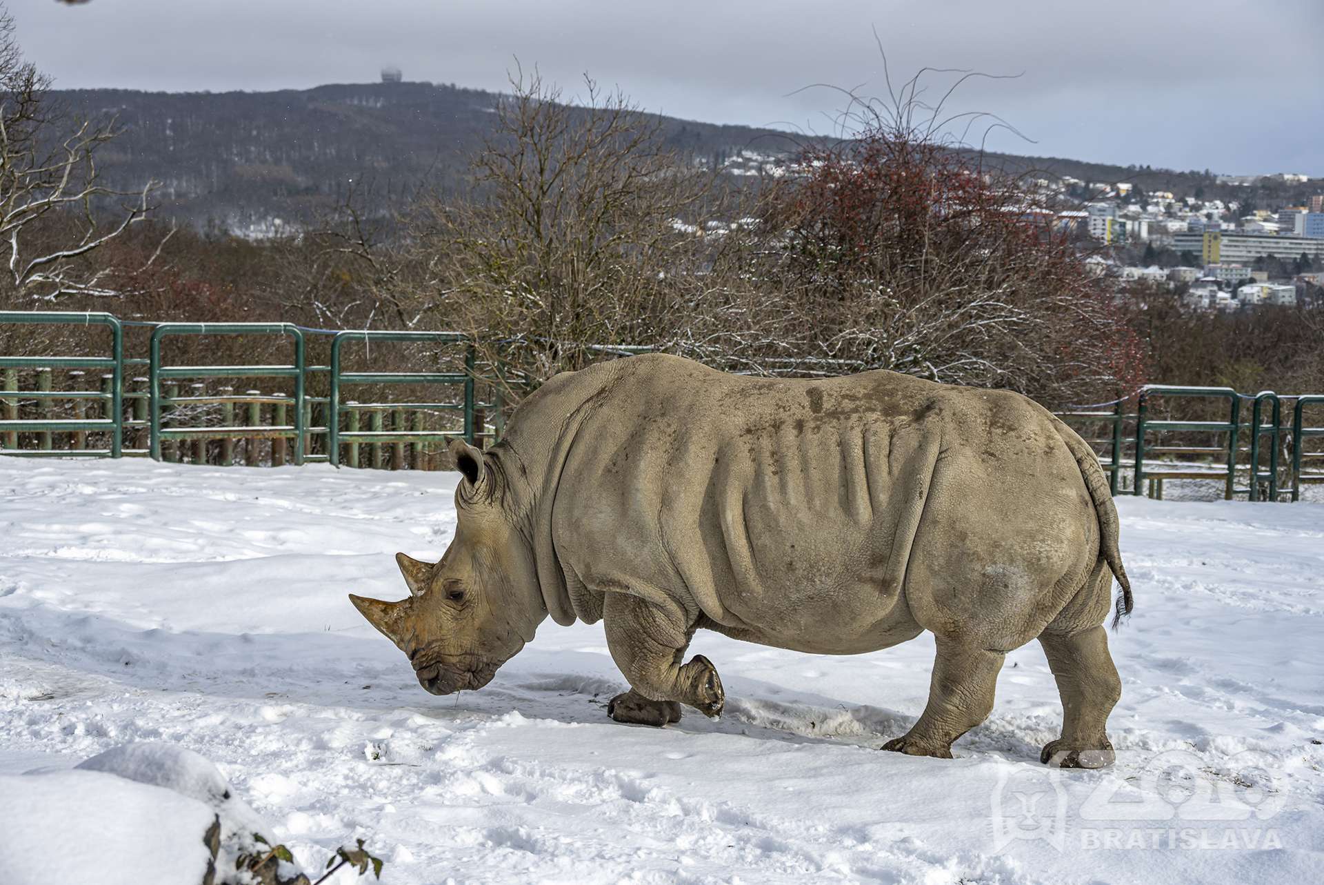 ZOO Bratislava | ZOO Bratislava