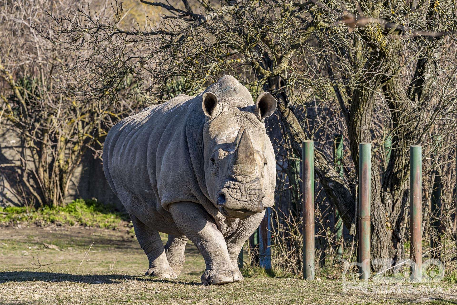 ZOO Bratislava | ZOO Bratislava