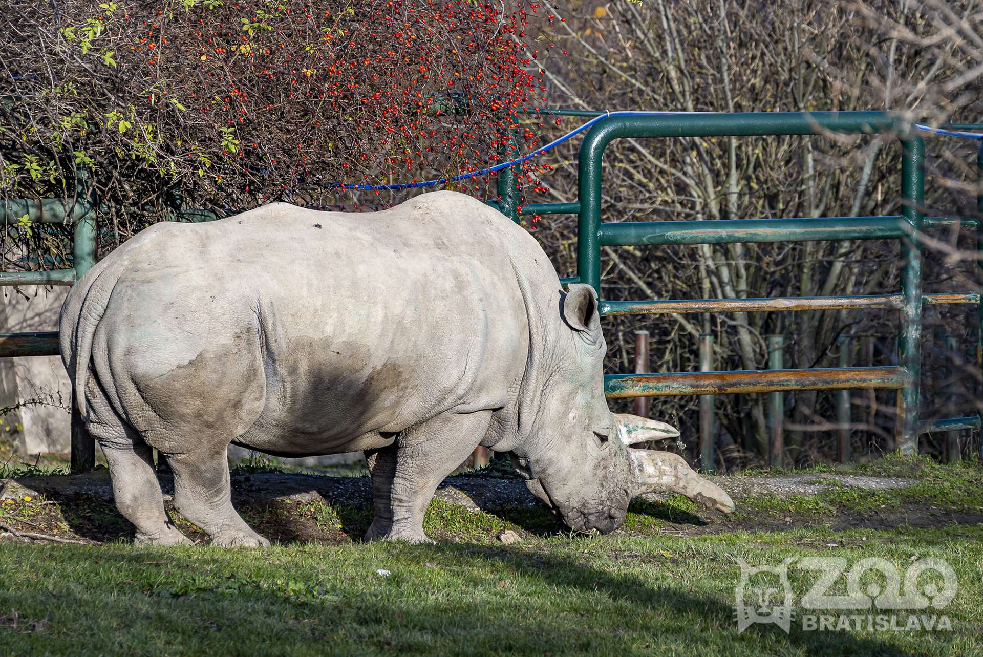 ZOO Bratislava | ZOO Bratislava