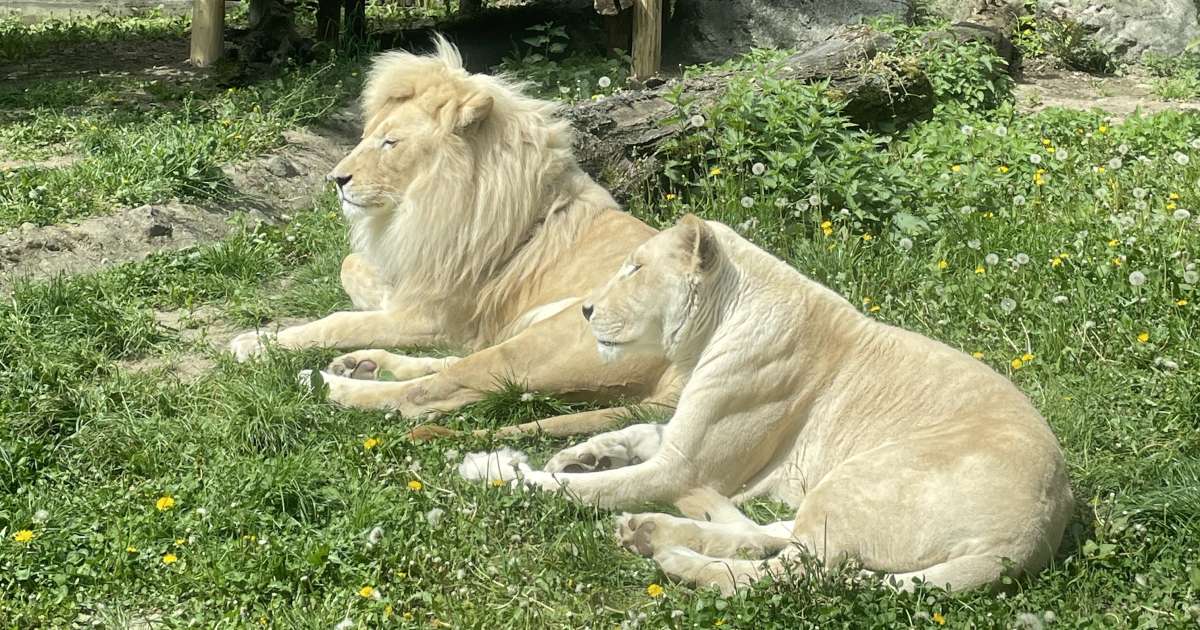 ZOO Bratislava