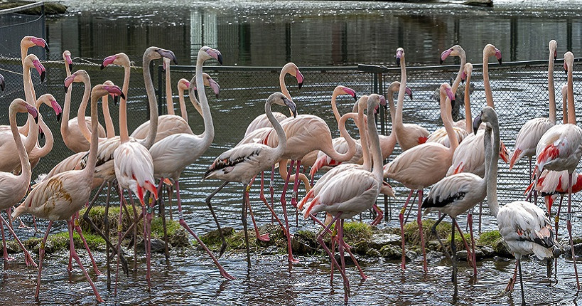 Mapa zoo | ZOO Bratislava