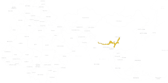 Panda červená | ZOO Bratislava