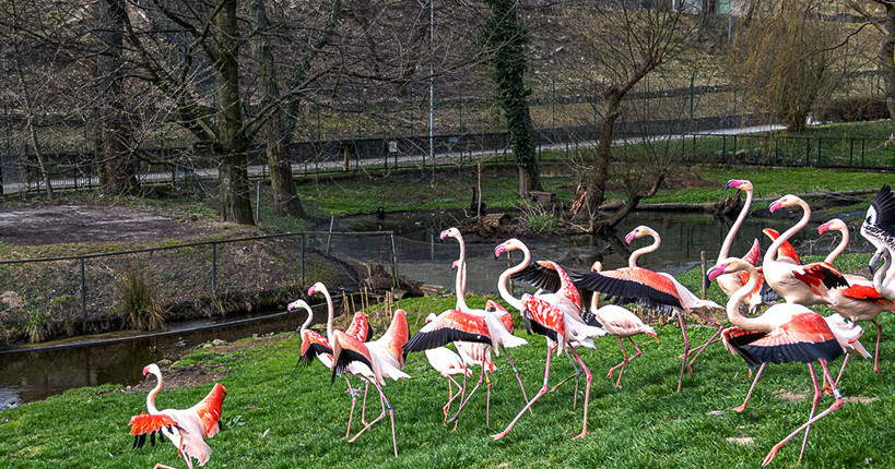 Otváracie hodiny | ZOO Bratislava