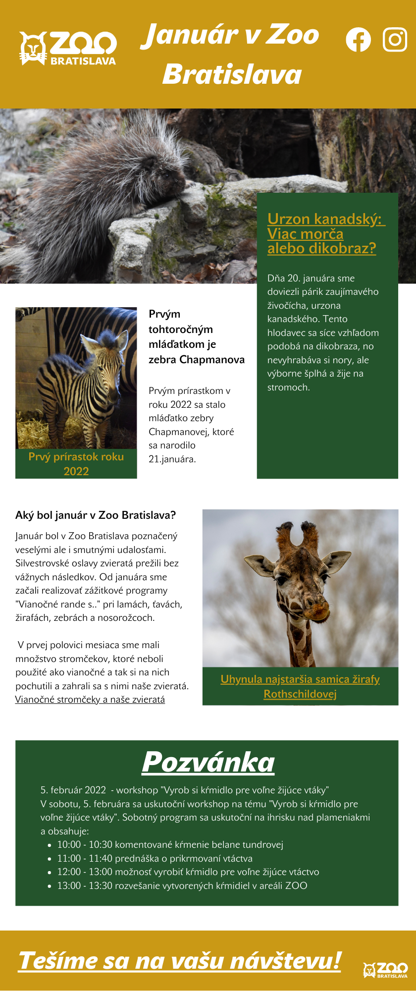Newsletter ZOO | ZOO Bratislava
