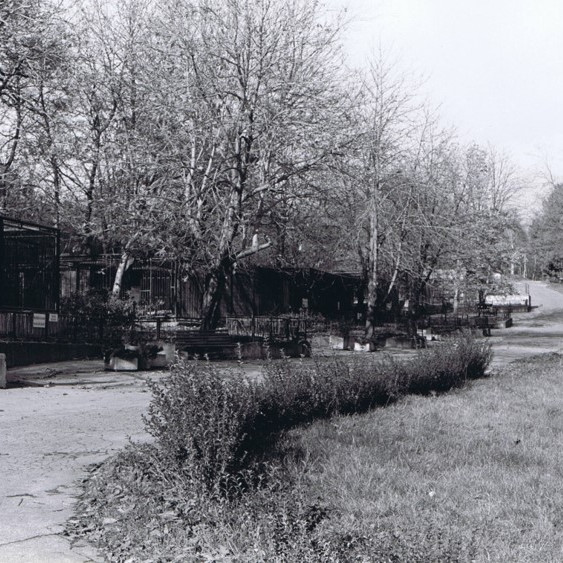 História ZOO Bratislava | ZOO Bratislava