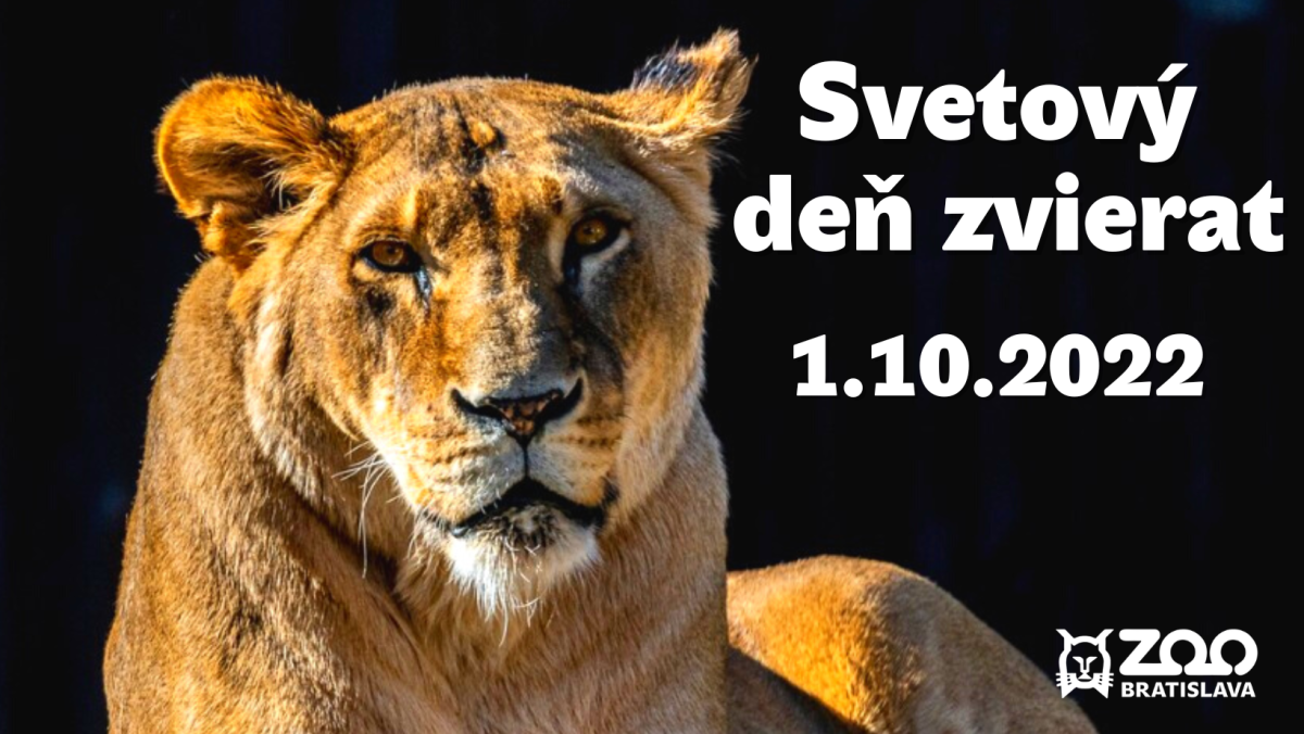 Zvieratá na celom svete majú svoj deň. Oslávte ho s nami 1. októbra v ZOO Bratislava | ZOO ...