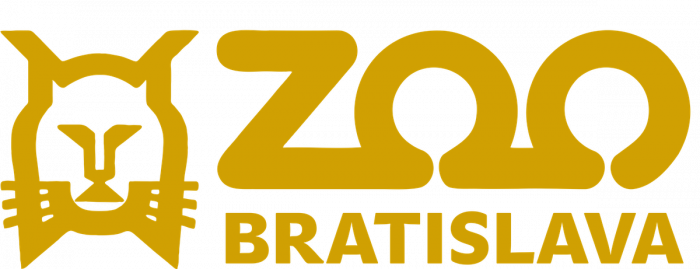 Lev juhoafrický | ZOO Bratislava