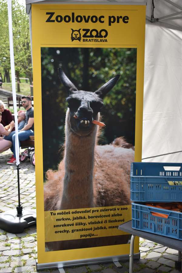 Do ZOO Bratislava prišlo cez víkend takmer 7000 návštevníkov | ZOO ...